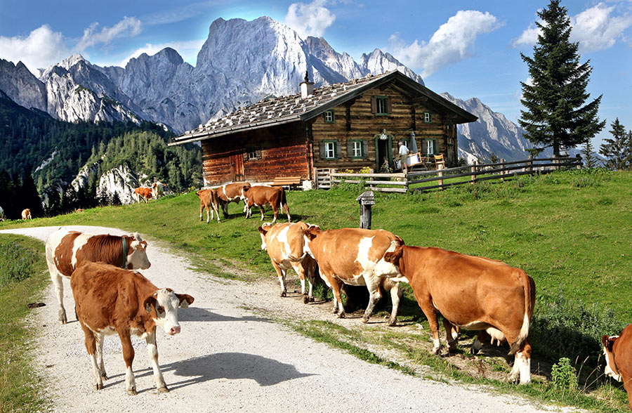 Ferienwohnungen in Lofer | Haus Millinger | Urlaub im Saalachtal